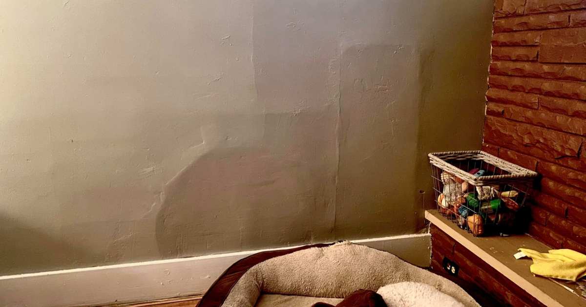 The Secret History Behind the Strange Wall Outlines: What Can They Be ...